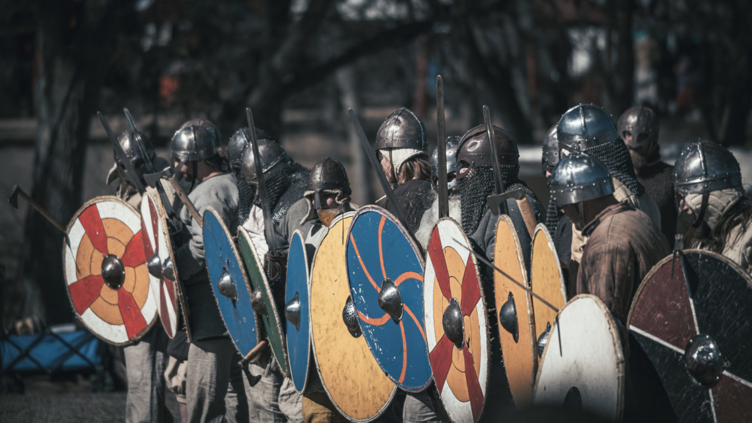 About - Vinland Texas Vikings